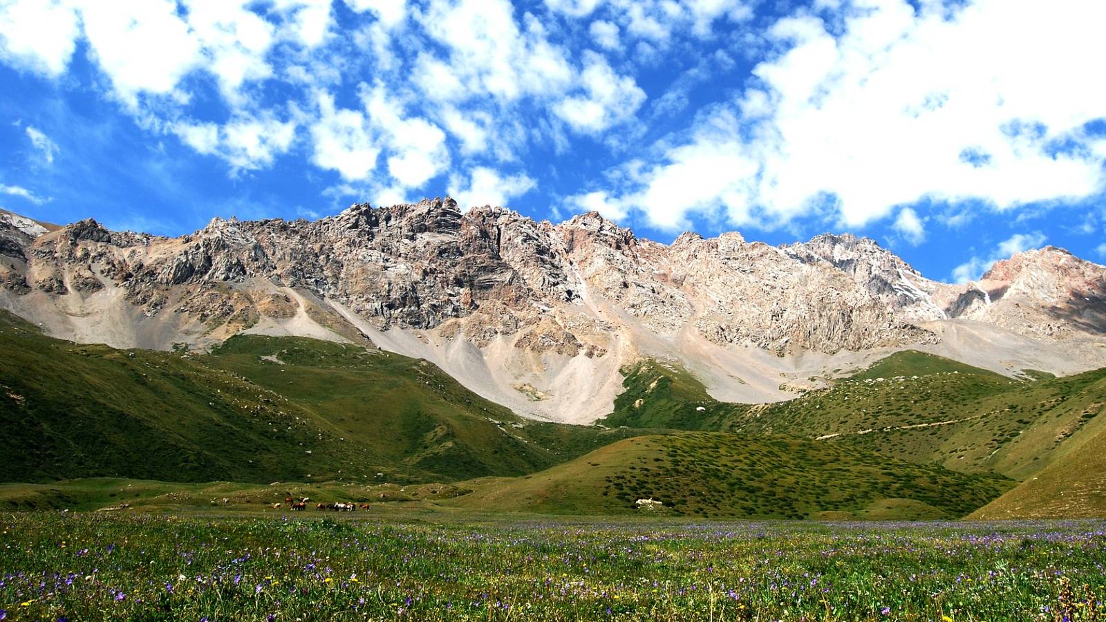 Naryn - VisitSilkRoad