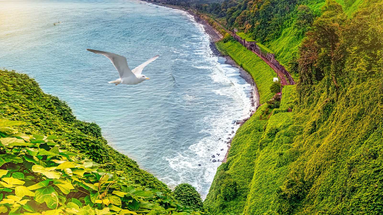 Batumi Botanical Garden - VisitSilkRoad