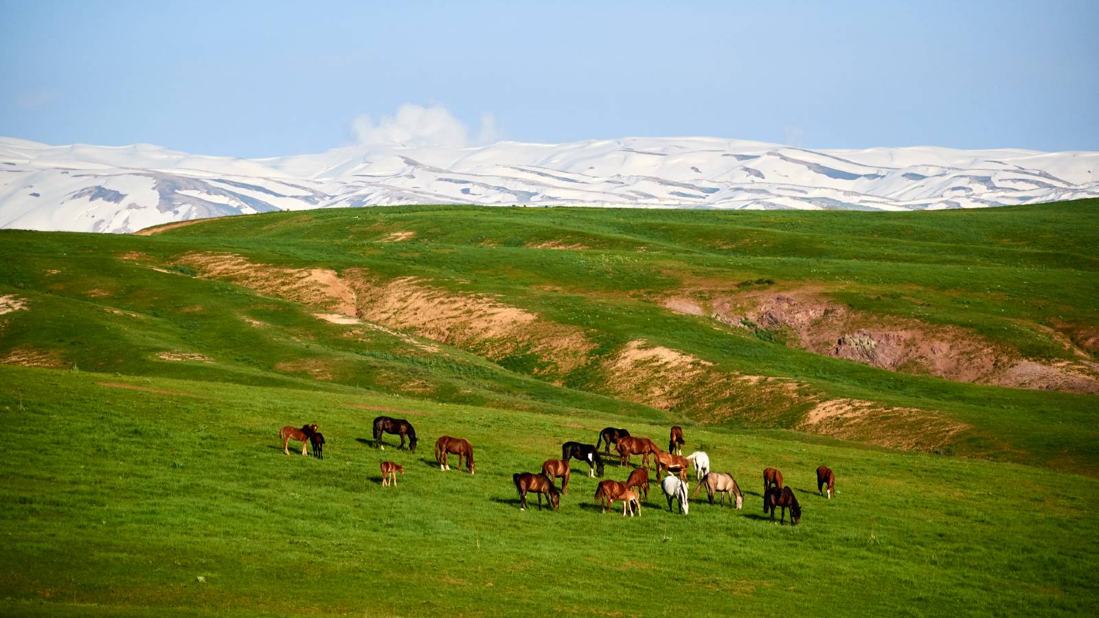 Turkestan Region - VisitSilkRoad