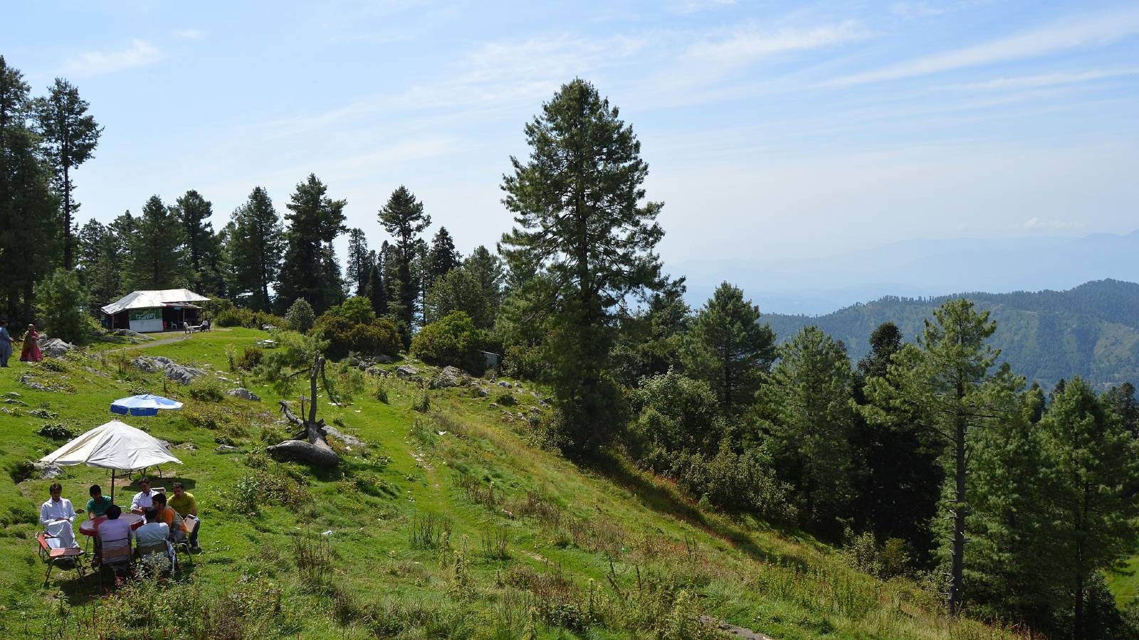 Thandiani Top ( Forested Ridges) - VisitSilkRoad