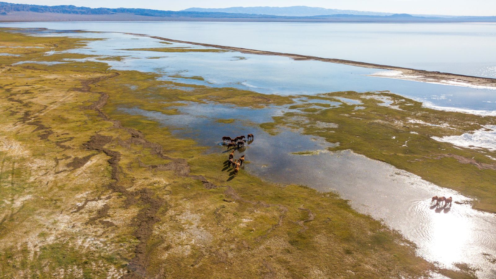 Tsagaan Nuur Lake - VisitSilkRoad