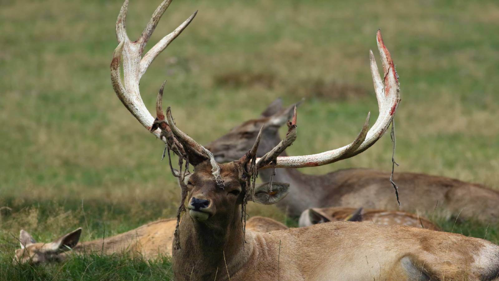 Badai Tugai Nature Reserve - VisitSilkRoad