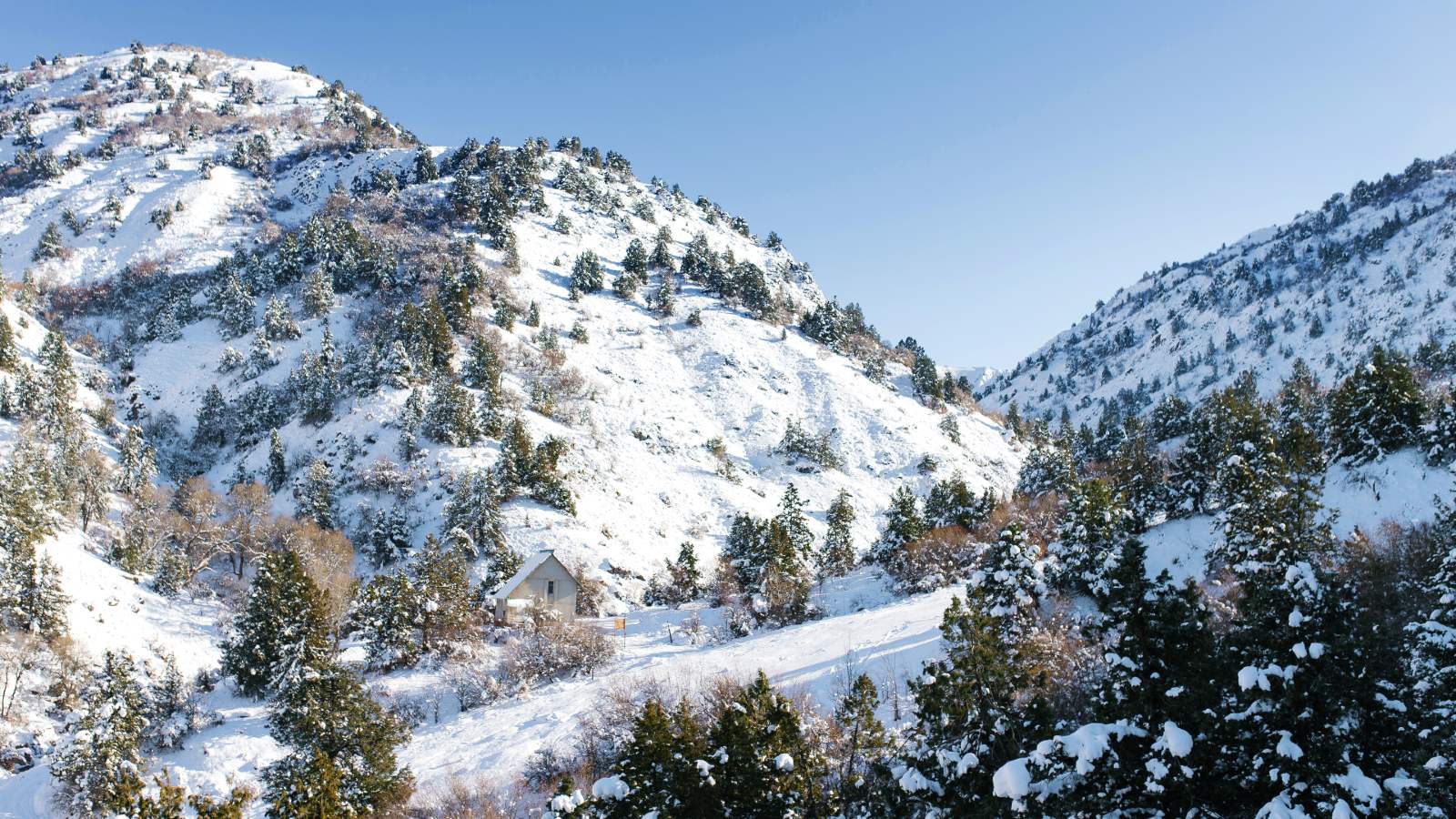 Beldersoy Ski Area - VisitSilkRoad