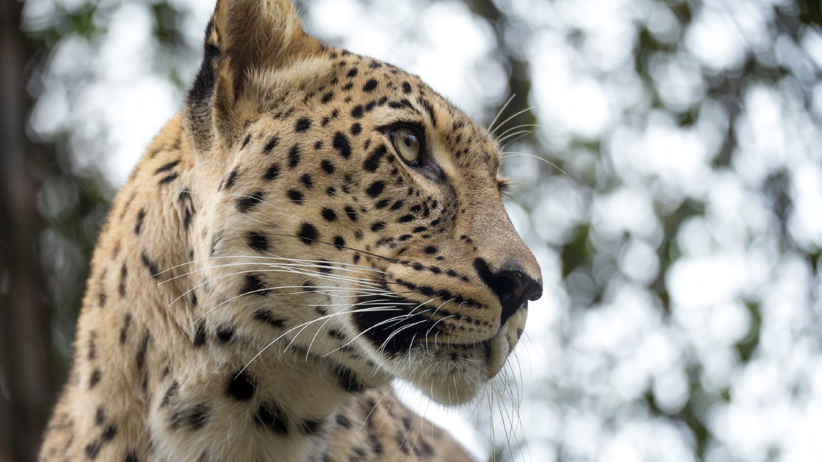 Kirthar National Park - VisitSilkRoad