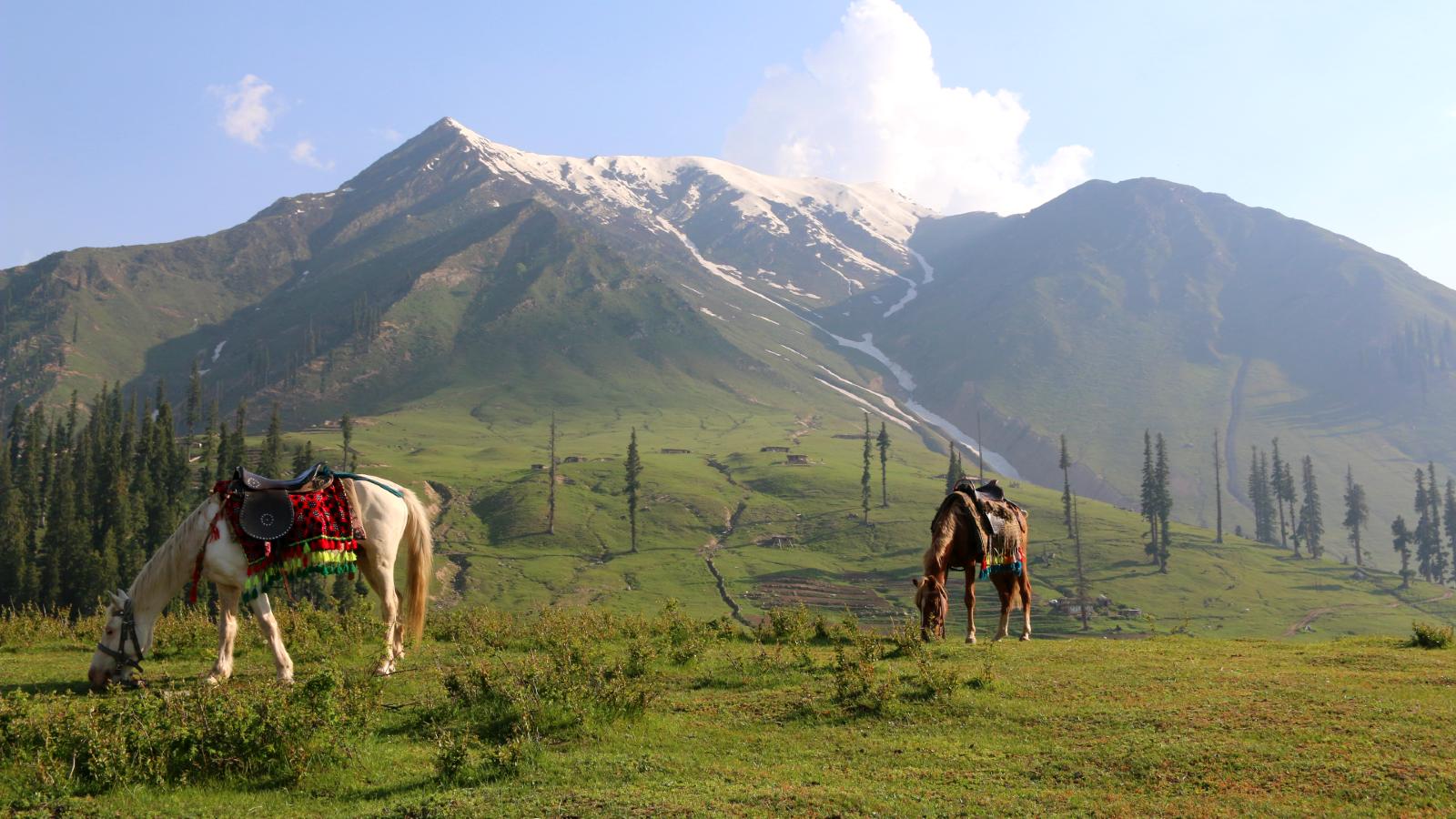 Lalazar Plateau - VisitSilkRoad