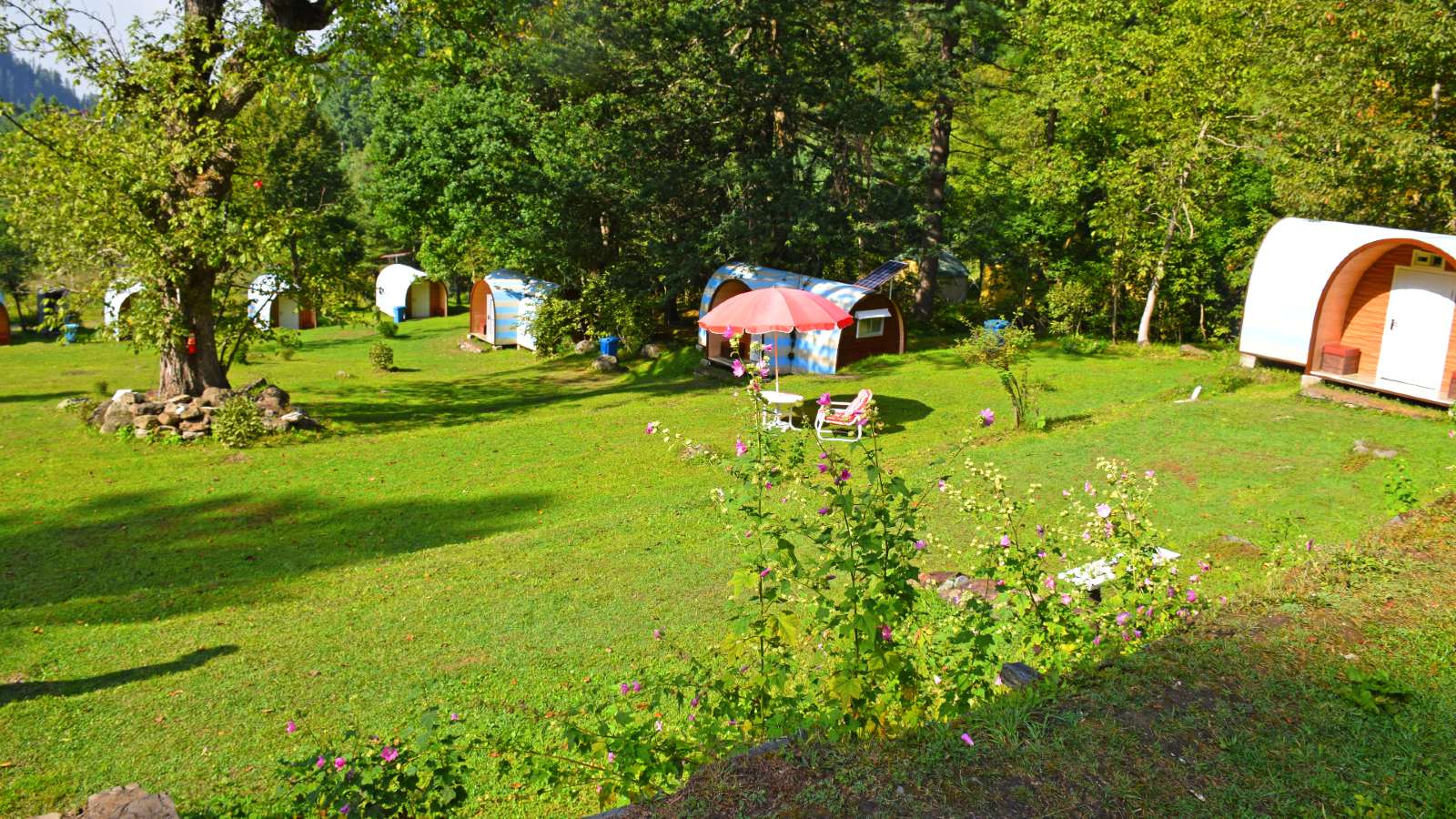 Sharan Forest - VisitSilkRoad