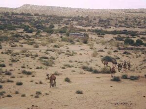 Tharparkar Desert - VisitSilkRoad