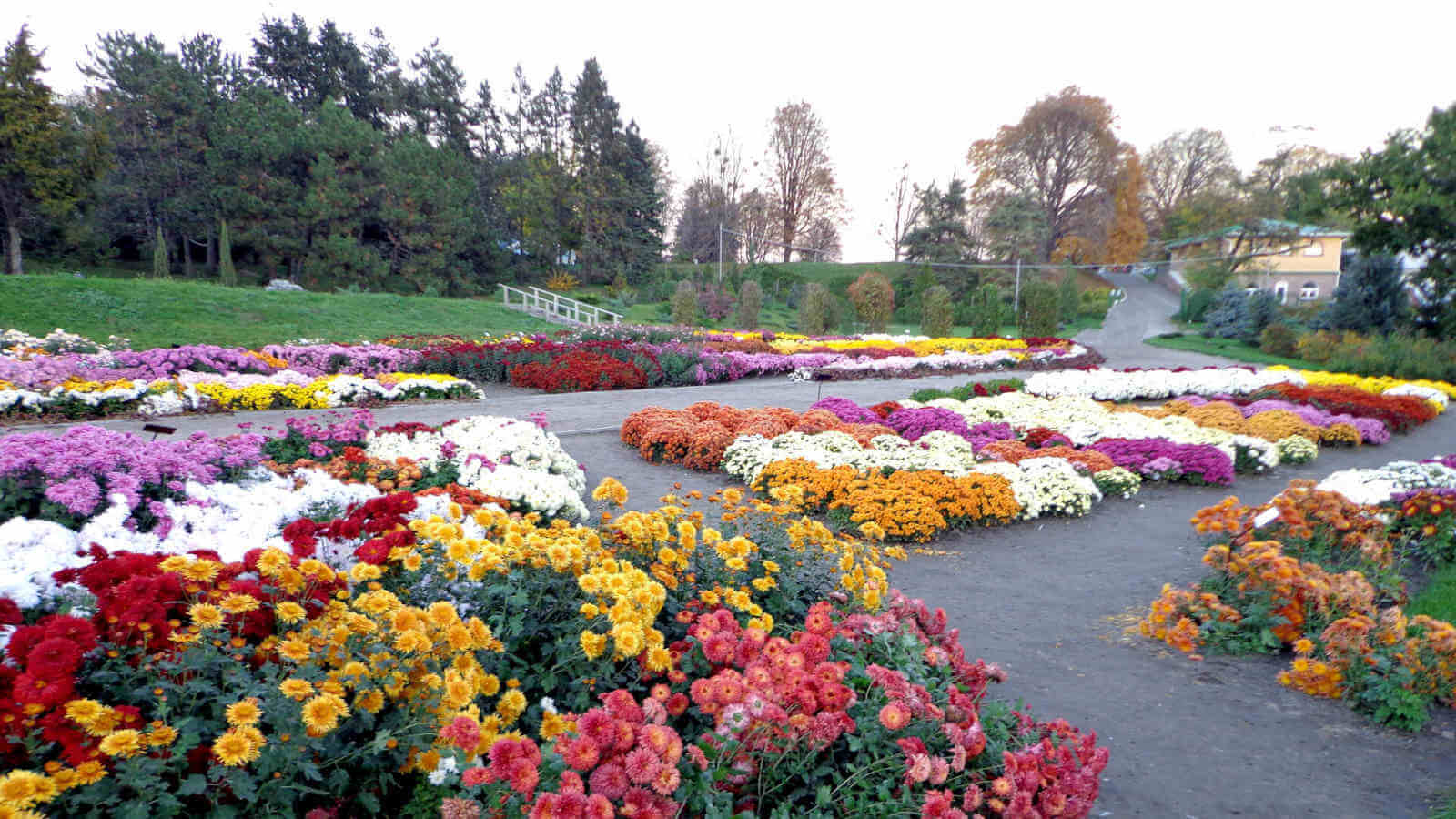 Rose Festival and Spring Flower Show - VisitSilkRoad